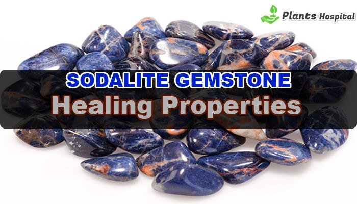 Most Beautiful Benefits Of Sodalite Stone