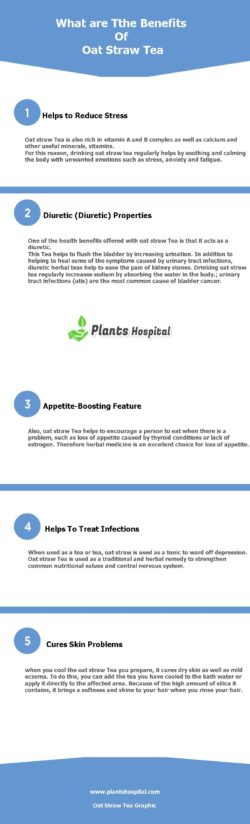 Oat Straw Tea: Benefits, Uses, Recipe And Recommendations